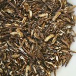 TNT Wild Rice LLC | Brown & Wild Rice | Premium Wild Rice